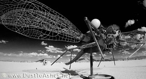 Damsel Fly by Bryan Tedrick | Dust to Ashes